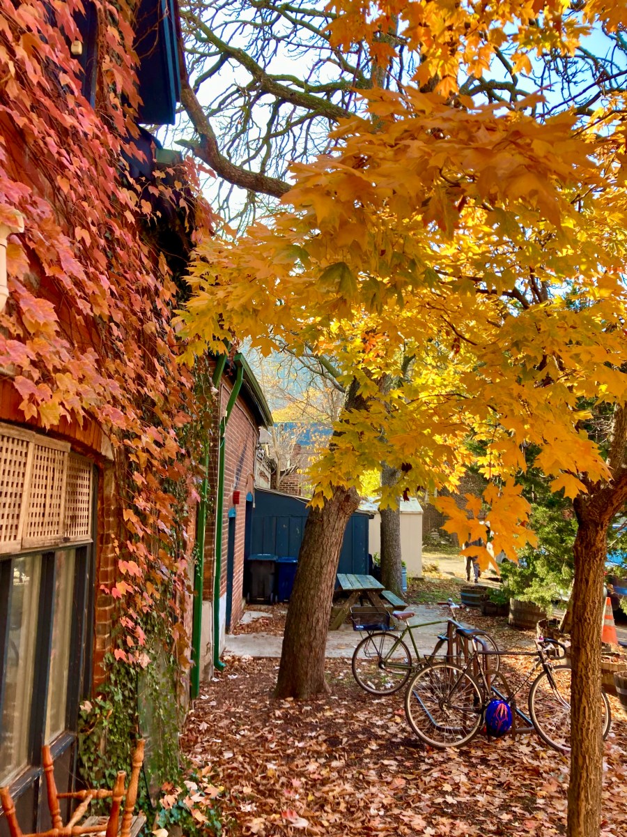 The fall – Knife Fork Book